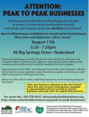 TARP Poster - Nederland Downtown